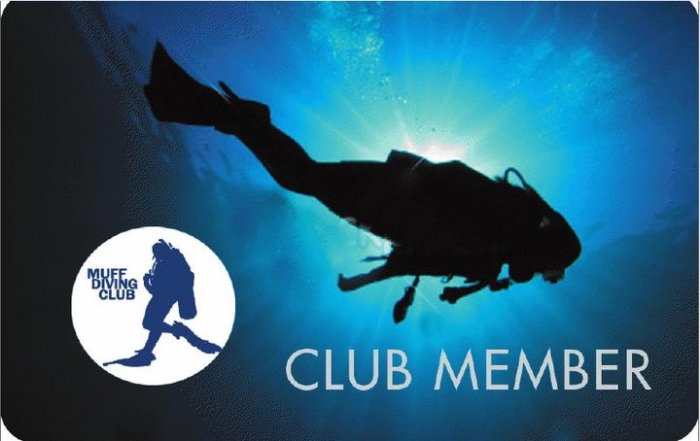 Muff Diving Club In Muff Ireland 4614